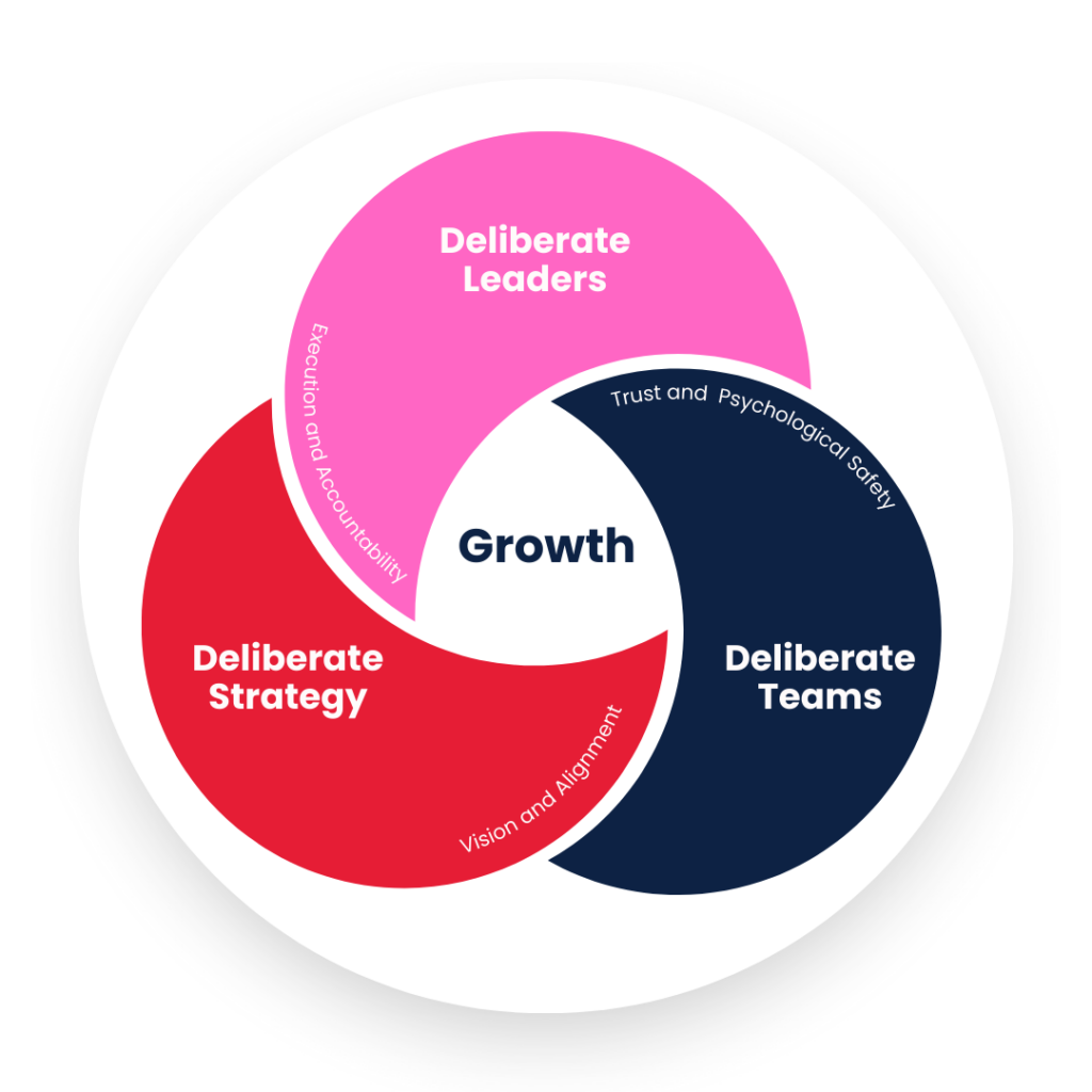 The Deliberate Leader – by Rita Cincotta