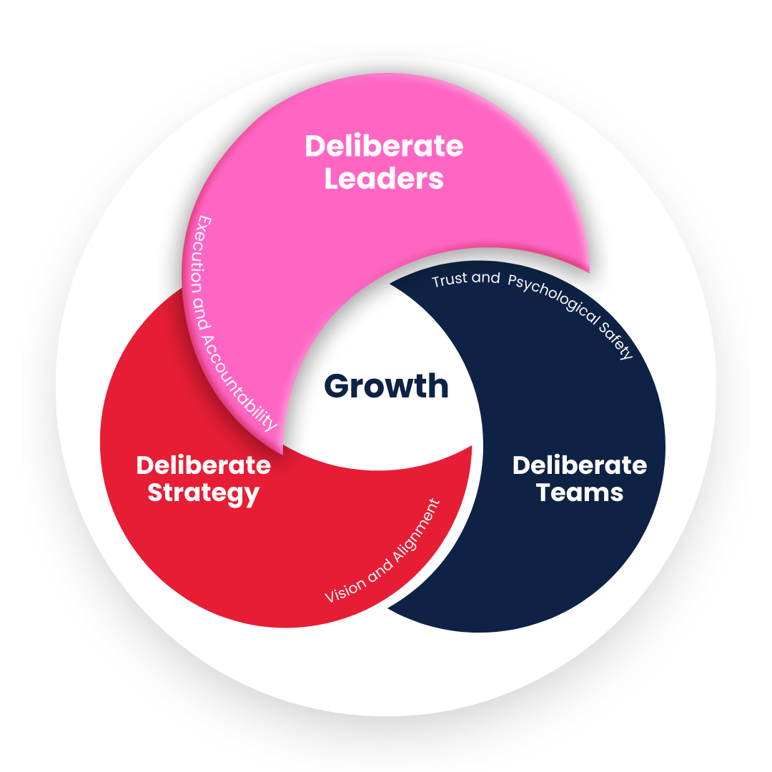 Deliberate Leaders - The Deliberate Leader